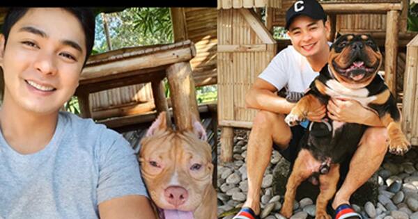 LOOK: Meet Coco Martin’s newest pet in these adorable photos | ABS-CBN ...
