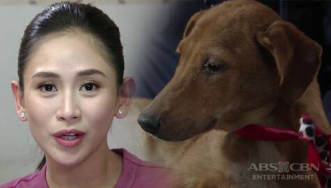 Sarah Geronimo, kasama ang asong si Milo sa premiere night ng kanilang ...