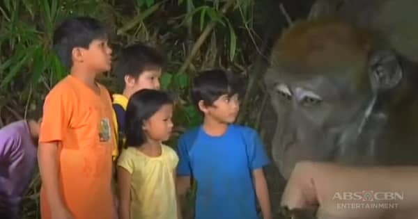 May Bukas Pa: Mga Bata, hinabol ang unggoy sa gubat | ABS-CBN Entertainment May Bukas Pa: Mga Bata, hinabol ang unggoy sa gubat | ABS-CBN Entertainment